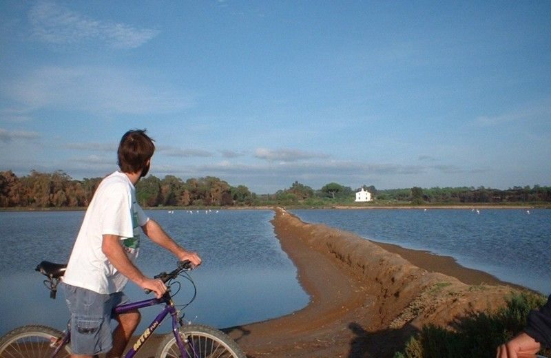 Faro Bike Tour through the Beautiful Ria Formosa - Key Points