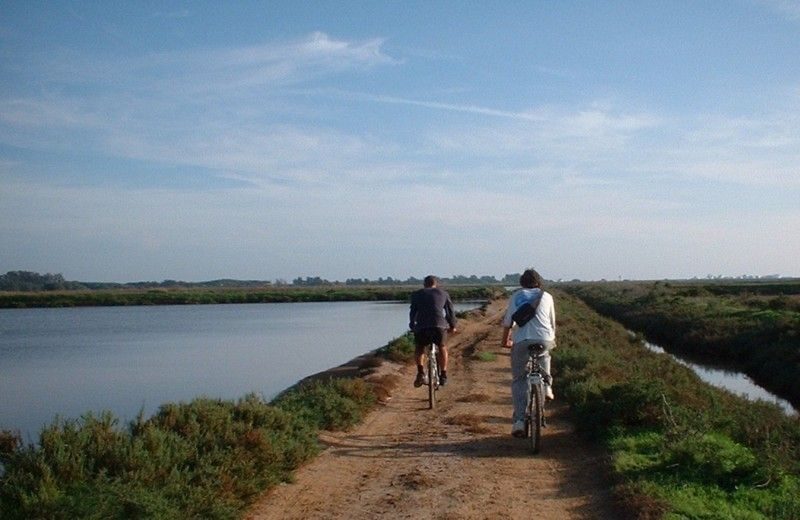 Faro Bike Tour through the Beautiful Ria Formosa - Insights from Reviews: Authentic Perspectives