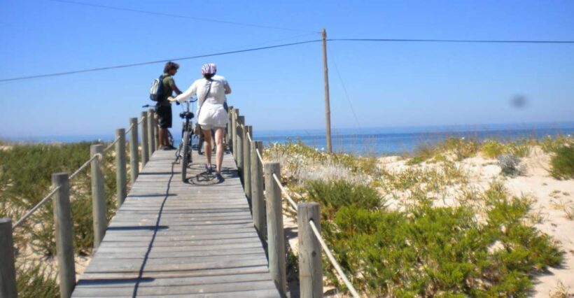 Faro Bike Tour through the Beautiful Ria Formosa - Practical Details and Tips for Your Ride