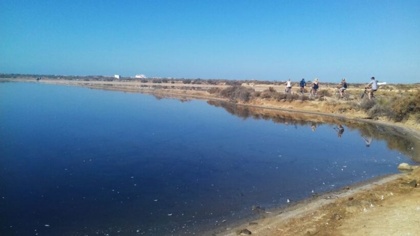 Faro Bike Tour through the Beautiful Ria Formosa - Who Should Consider This Tour?