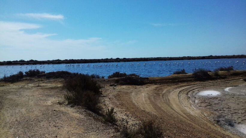 Faro Bike Tour through the Beautiful Ria Formosa - The Sum Up: Is This Tour Worth Your Time?