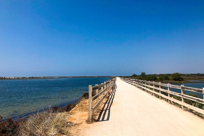 Faro City & Ria Formosa E-Bike Tour - A Balanced View: Benefits and Considerations