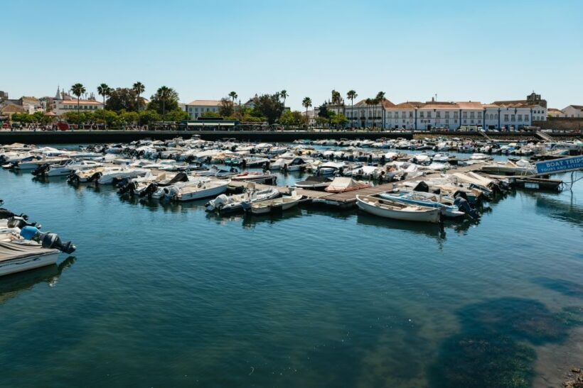 Faro: Deserta Island and Farol Island Catamaran Boat Trip - Key Points