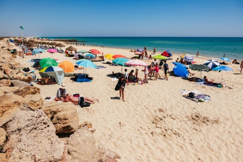 Faro: Deserta Island and Farol Island Catamaran Boat Trip - Who Should Consider This Tour?