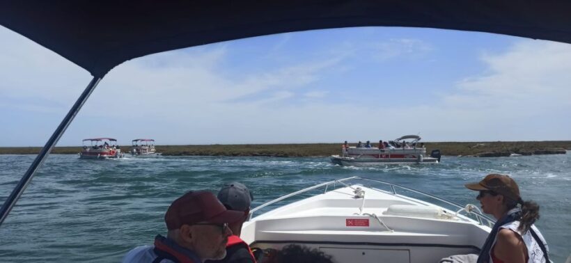 Faro: Dolphin and Marine Life Watching Boat Tour - Authenticity and User Feedback