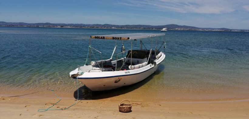 Faro: Eco-Friendly Ria Formosa Bird Watching in Solar Boat - Final Thoughts: Who Should Book?
