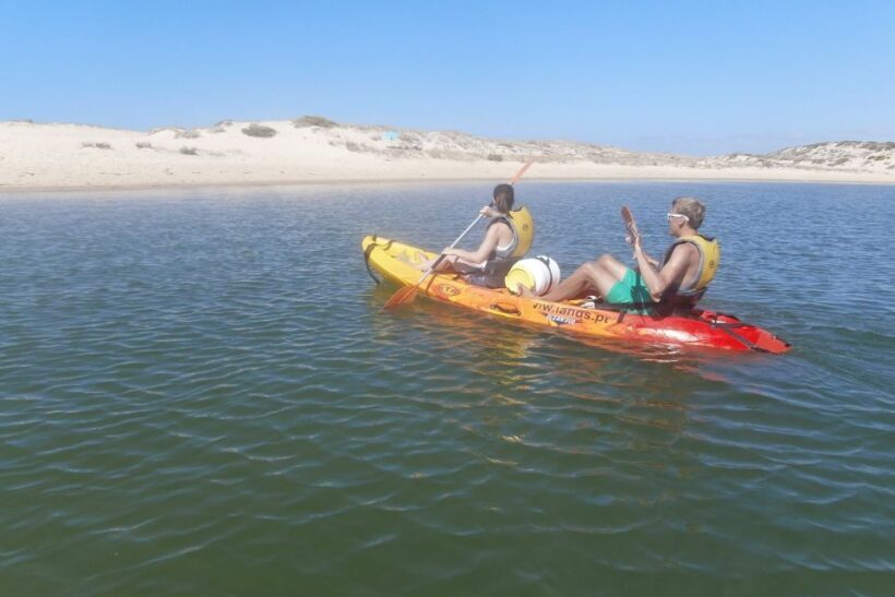 Faro: Kayak Hire in Ria Formosa Natural Park - The Authentic Touch: What Real Travelers Say