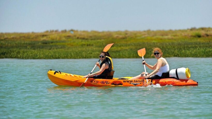 Faro: Kayak Hire in Ria Formosa Natural Park - The Sum Up: Is This Kayak Rental Right for You?