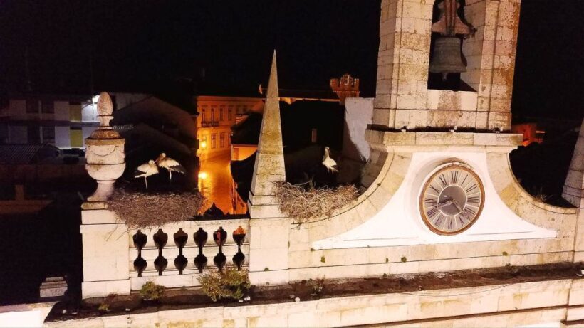 Faro: Night Segway Tour with Cocktails - The Stop at Columbus: A Cultural Highlight