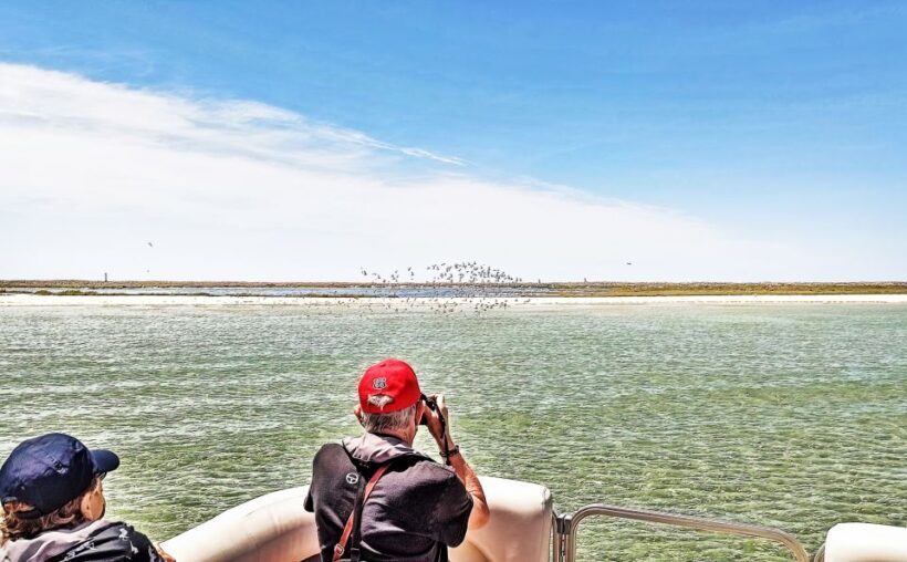 Faro: Private Ria Formosa Faro Islands Boat Tour - The Sum Up