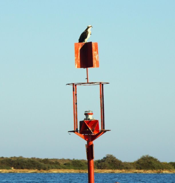 Faro: Pudim Real Boat Tours 6h guided boat tour Ria Formosa - Exploring the Itinerary and What to Expect