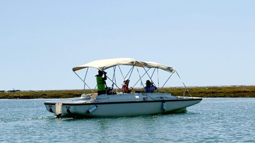 Faro: Ria Formosa Boat Tour by Eco-Friendly Solar Boat - Key Points