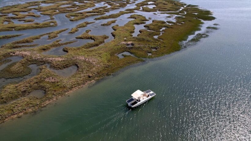 Faro: Ria Formosa Boat Tour by Eco-Friendly Solar Boat - An Insightful Look at the Experience