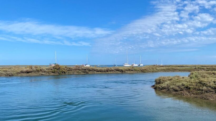 Faro: Ria Formosa Boat Tour by Eco-Friendly Solar Boat - Wrapping Up