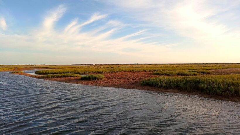 Faro: Ria Formosa Boat Tour - Who Would Enjoy This Tour Most?
