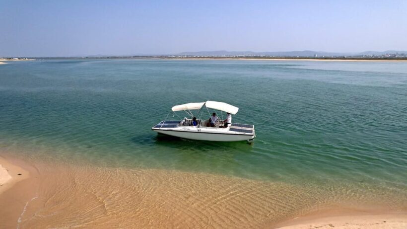 Faro: Ria Formosa Eco Birdwatching Boat Tour - The Itinerary: A Closer Look