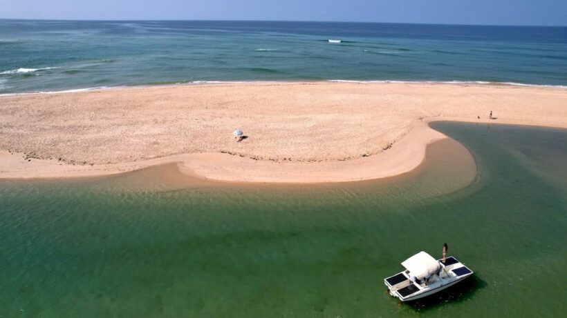 Faro: Ria Formosa Eco Birdwatching Boat Tour - Authentic Insights from Traveler Reviews