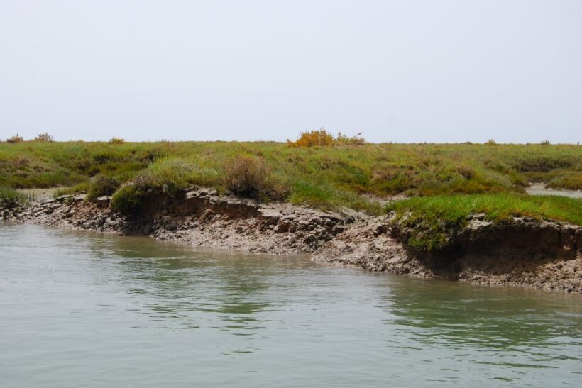 Faro: Ria Formosa Lagoon Small Boat Tour with Local Guide - Who Will Love This Tour?