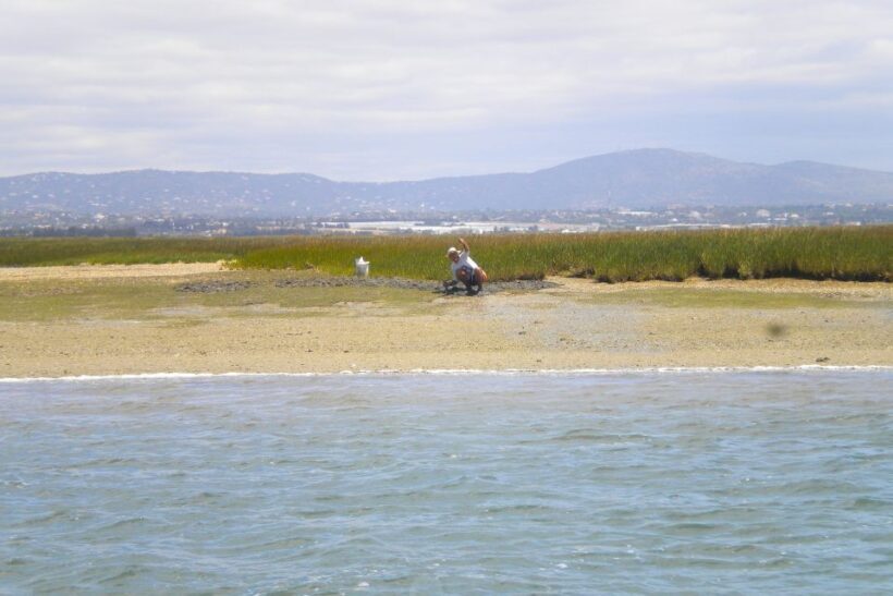 Faro: Ria Formosa Lagoon Small Boat Tour with Local Guide - The Sum Up