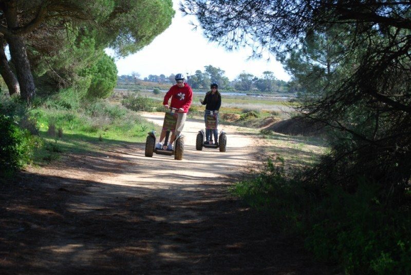 Faro: Ria Formosa Natural Park Segway Tour & Birdwatching - An In-Depth Look at the Tour Experience
