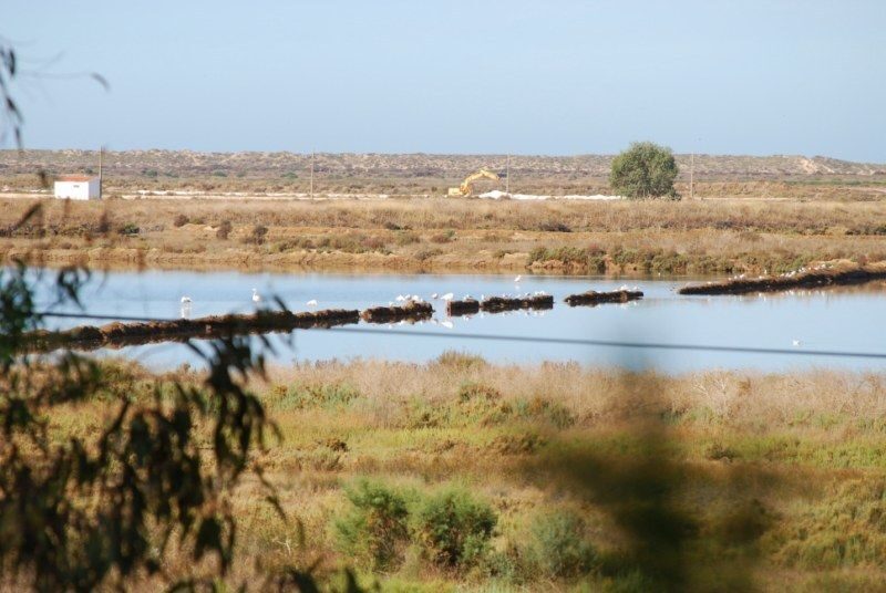 Faro: Ria Formosa Natural Park Segway Tour & Birdwatching - Practical Tips for Travelers