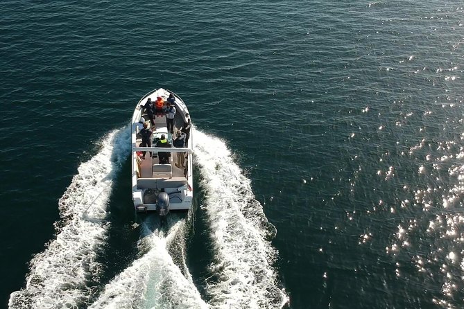 Faro - Ria Formosa Tour With Visit to 2 Islands (Deserta, Farol) 3.5 Hours - Guides and Activities