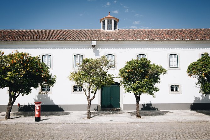 Faro Walking Tour: Uncover the Citys Architectural Legacy - Who Should Consider This Tour?