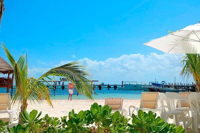 Fascinating beach club at Riviera Maya, full day pass with transport included - Who Is This Tour Best Suited For?