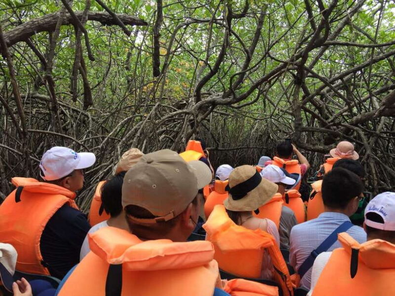 Fascinating Tours in Sri Lanka - Final Thoughts: Is This Tour Worth It?