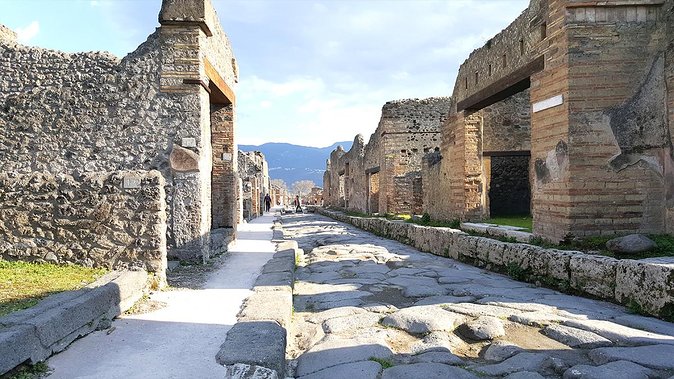 Fast Access Exclusive Private Ancient Pompeii Half Day Tour With Local Guide - Meeting and Additional Information