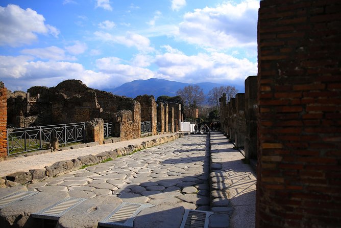 Fast Access Exclusive Private Ancient Pompeii Half Day Tour With Local Guide - Pricing and Cancellation Policy