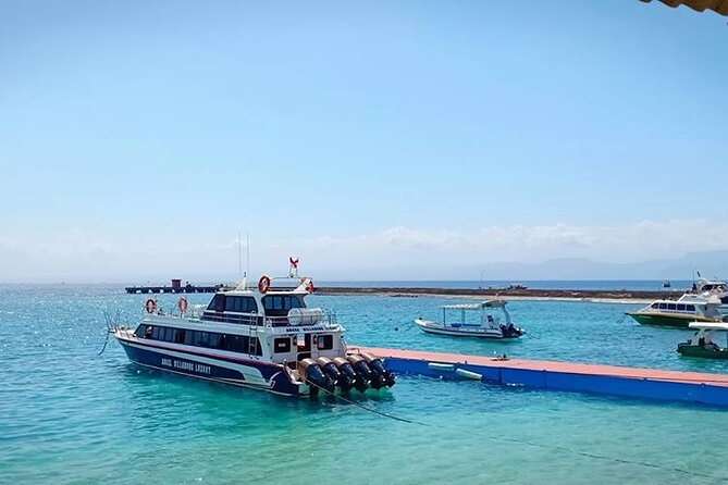 Fast Boat Transfer Sanur to Nusa Penida by Penidago - What’s Included and What’s Not