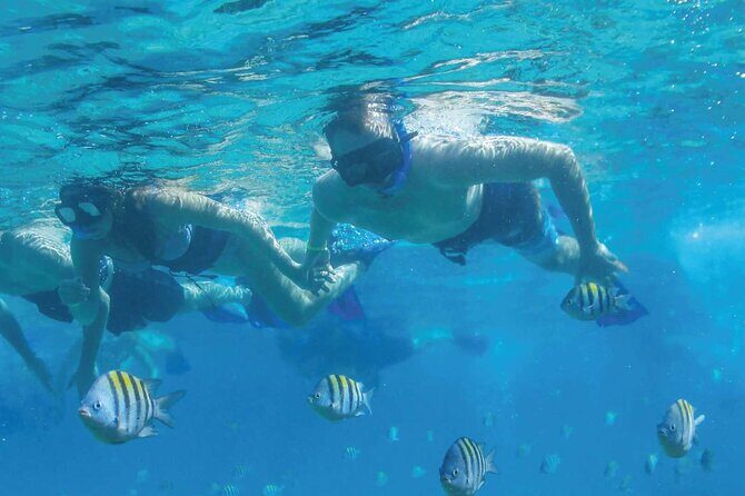 Fast & Fun: Cancun Speedboat Tour with Snorkeling - The Pros and Cons in Detail