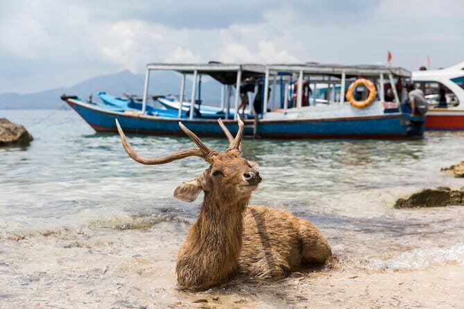 Fastboat to Gili Trawangan or Gili Air - Final Recommendation