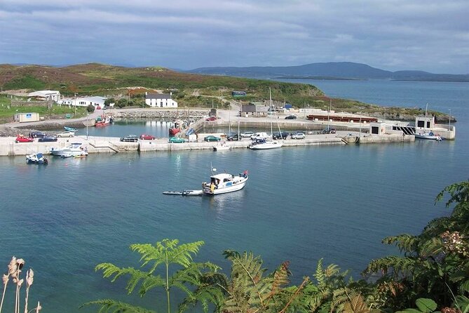 Fastnet Rock Lighthouse & Cape Clear Island Tour from Schull West Cork - Who This Tour Is Best For