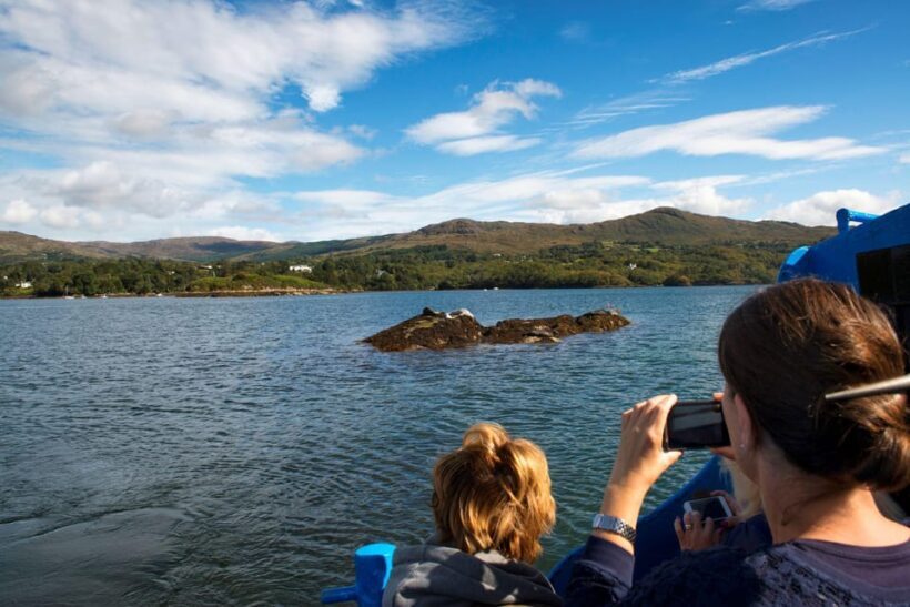 Fastnet Rock Lighthouse direct boat tour-Baltimore.Guided. - The Sum Up: Who Should Consider This Tour?