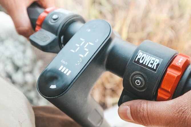 Fat Bikes, e-bikes & Bikes in Ferragudo - Price and Value: Is It Worth It?