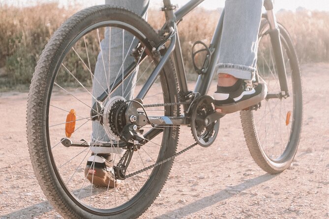 Fat Bikes, e-bikes & Bikes in Ferragudo - Who Will Love This Experience?