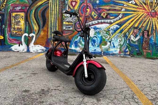 Fat Tire 2 Seater Rental in Houston - Key Points