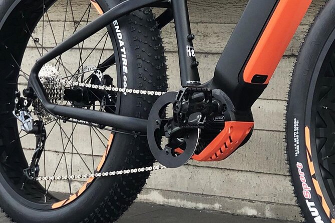 FAT TIRE E-Bike GREAT TOUR - River, Parks & Panoramic Views TOUR - Accessibility and Transportation
