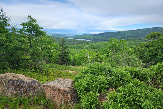 Fat Tire E-Bike Rental in Bar Harbor - The Sum Up: Who Should Consider This Adventure?