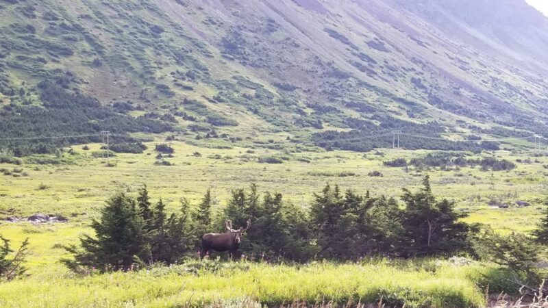 Fat Tire MTB in Chugach State Park Tour - The Route and Scenic Highlights