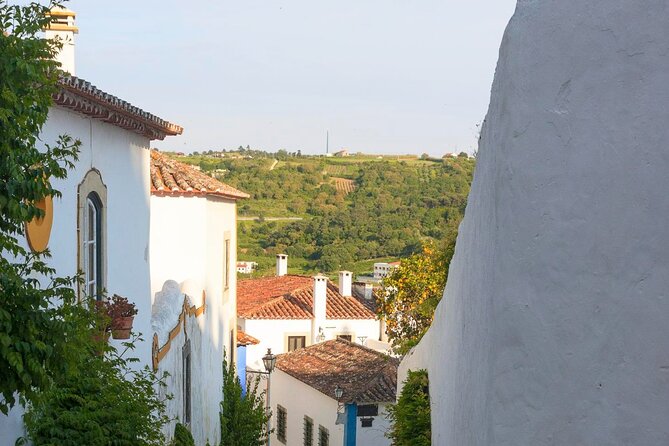 Fatima, Batalha, Nazaré & Óbidos Private Luxury Tour - Common Complaints and Issues