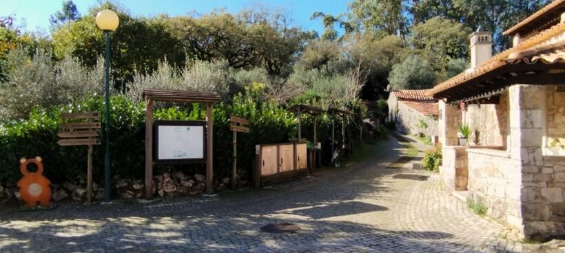 Fátima: Caves & Tradition E-bike Tour - Who Is This Tour Best For?