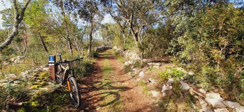 Fátima: Caves & Tradition E-bike Tour - Final Thoughts