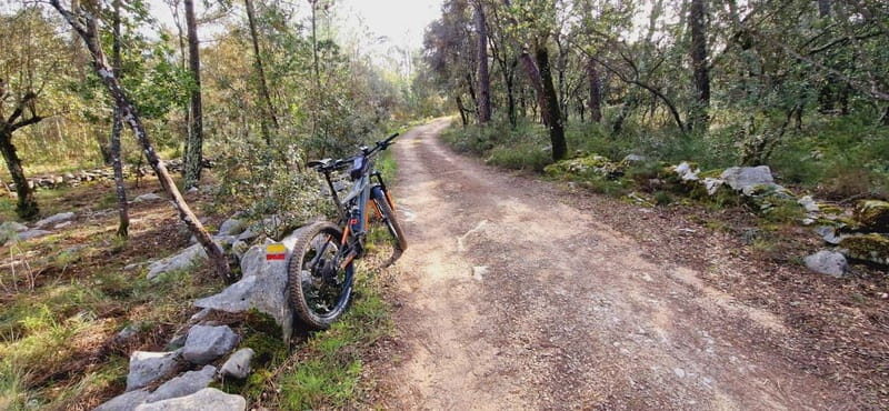 Fátima: E-Bike Tour to Dinosaur Footprints Natural Monument - Exploring the E-Bike Experience