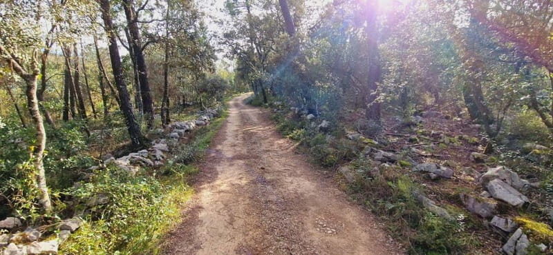 Fátima: E-Bike Tour to Dinosaur Footprints Natural Monument - Practical Tips for Travelers