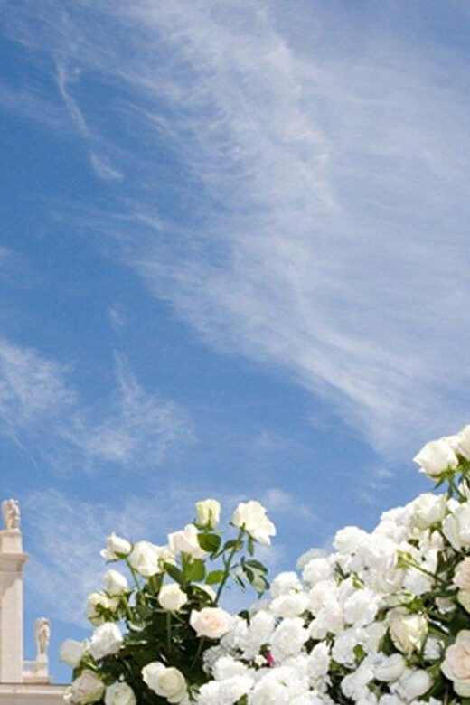 Fátima Holy City Full Day Tour - Analyzing the Value and Experience