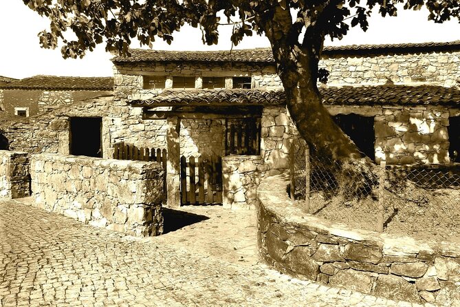 Fatima Private Half day Tour - The Sum Up: Is It Worth It?