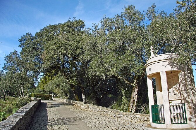 Fátima Private Tour - Getting to Fátima